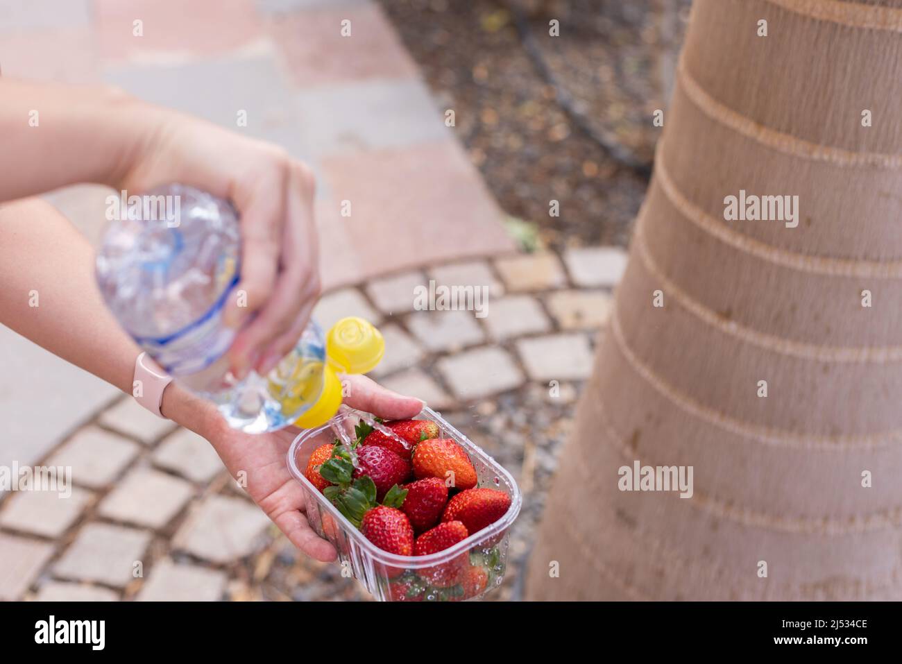 Womans hands washing strawberries with water from a small bottle ...