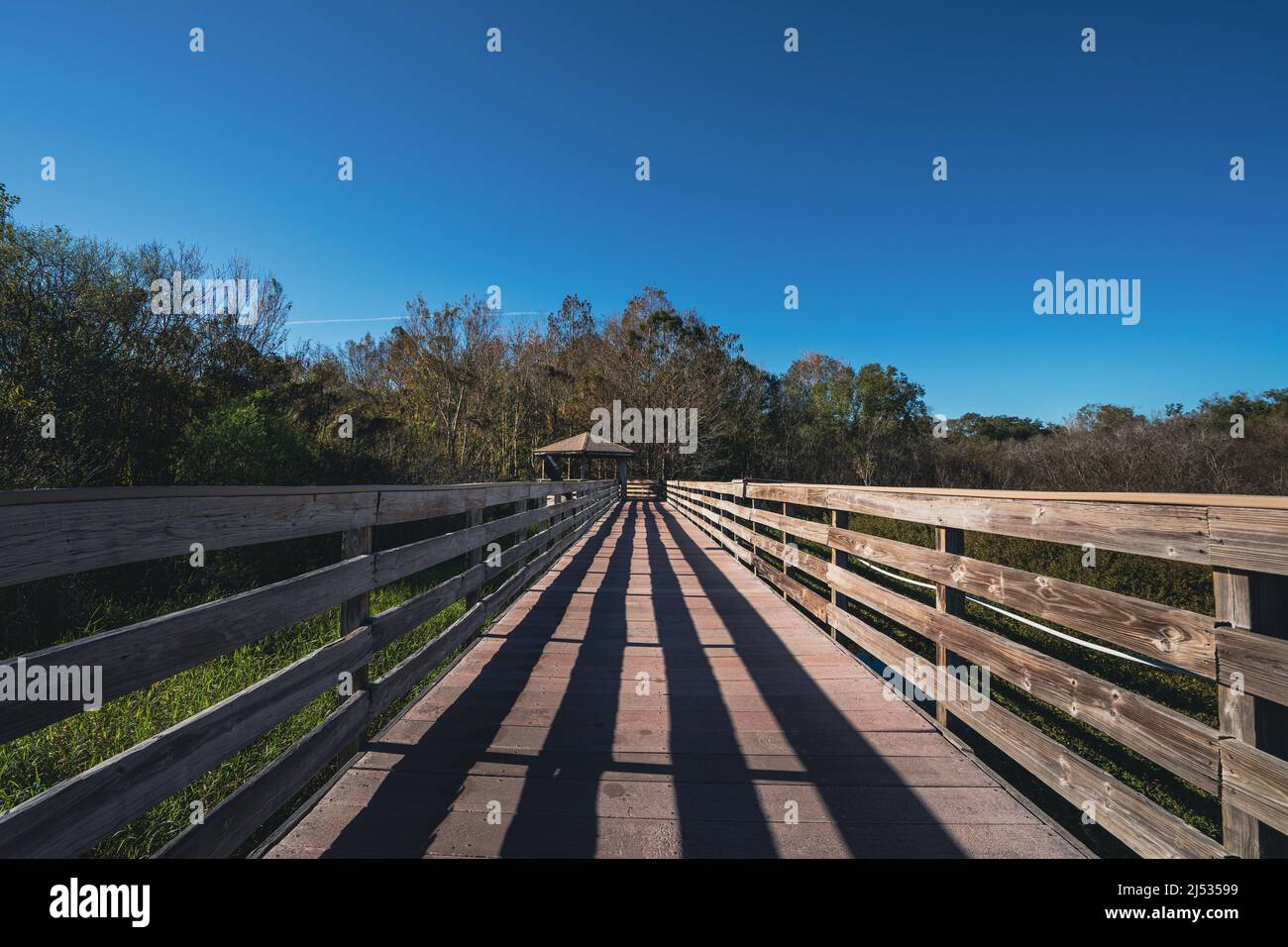 Boardwalk at Lake Lotus nature and recreation park in Altamonte Springs ...