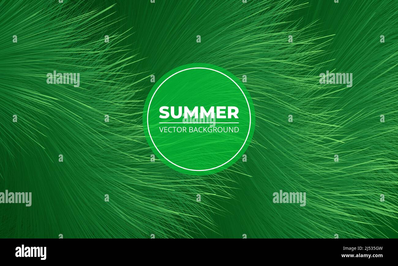 Green summer vector background with grass. Hello summer. Vector ...