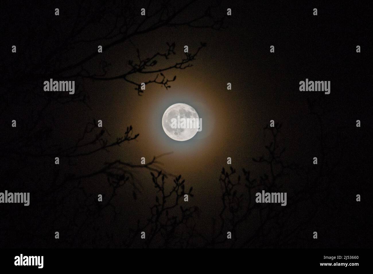 Full moon seen from a Berlin backyard Stock Photo - Alamy