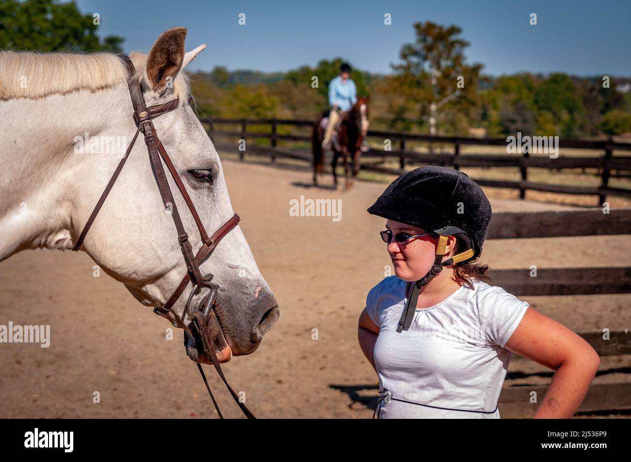 Young girl on horseback, riding and jumping in Virginia equestrian ...