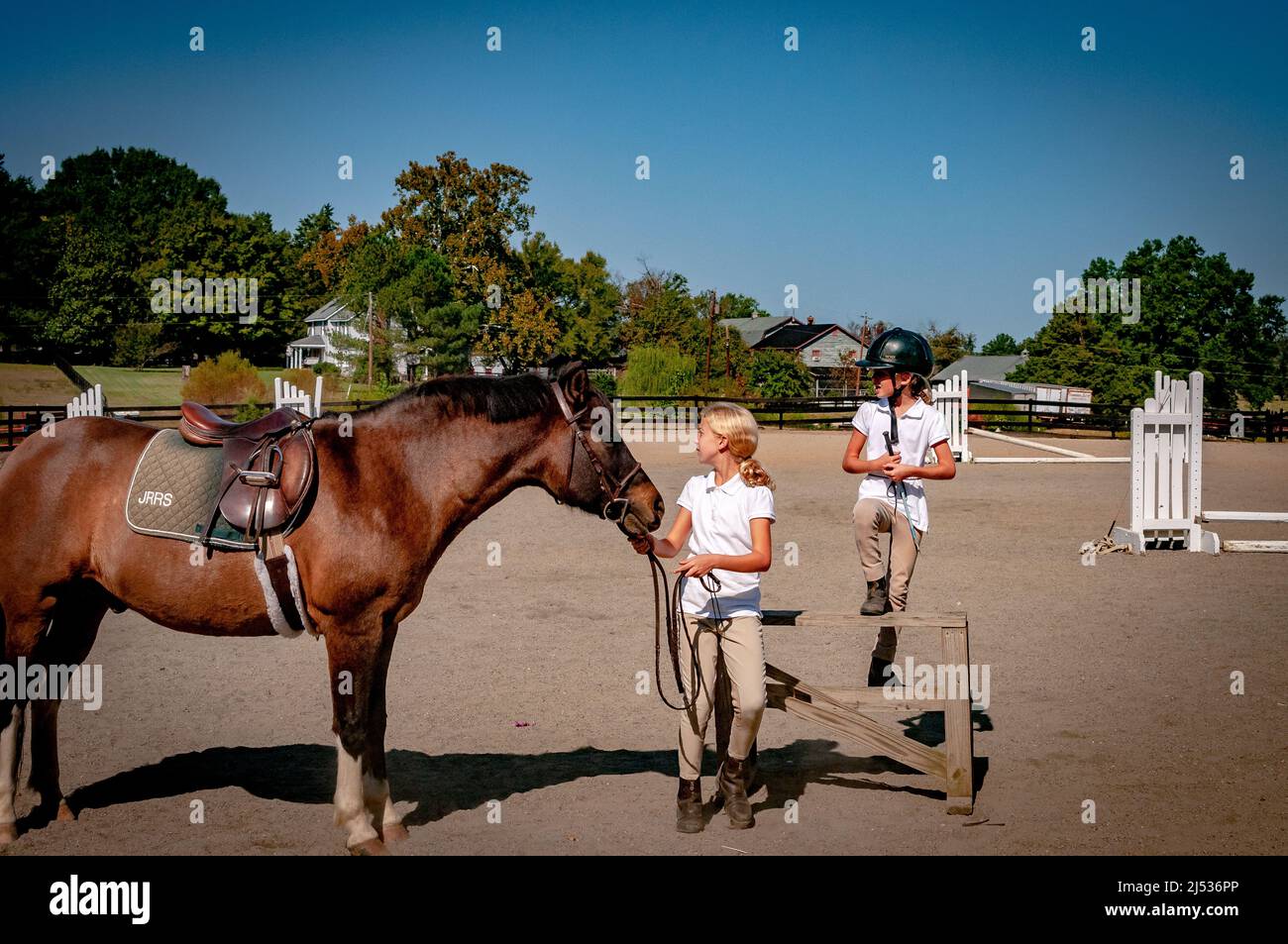 Young girl on horseback, riding and jumping in Virginia equestrian ...