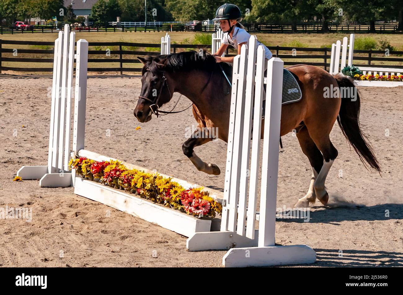 Young girl on horseback, riding and jumping in Virginia equestrian ...