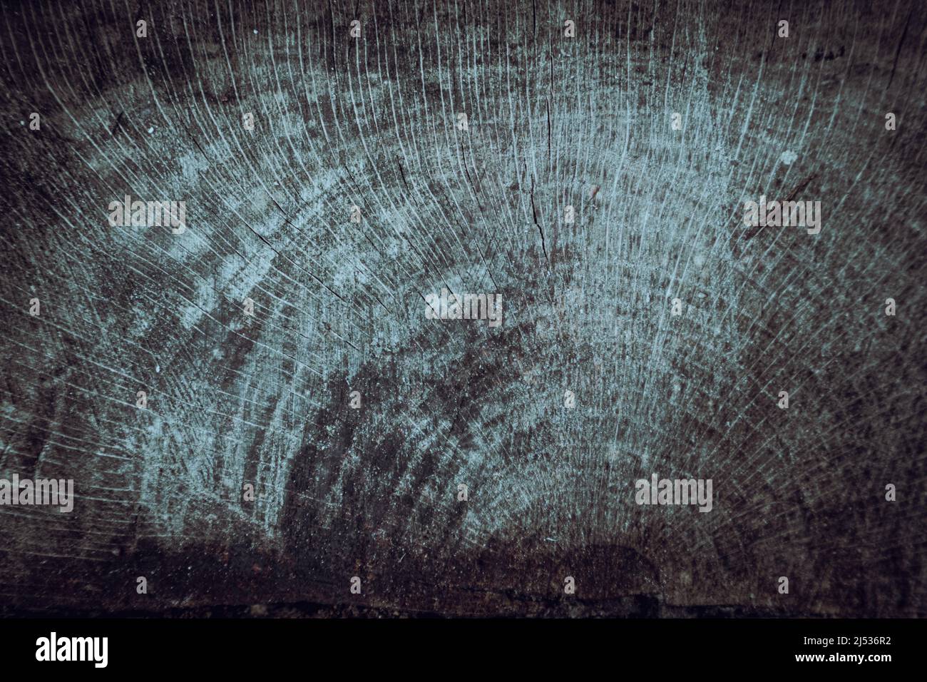 Dark cracked tree wood texture background for horror Halloween theme ...