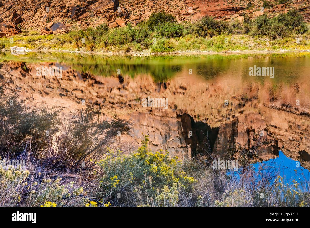 Sandy Beach River Access Colorado River Reflection Abstract Green Grass ...