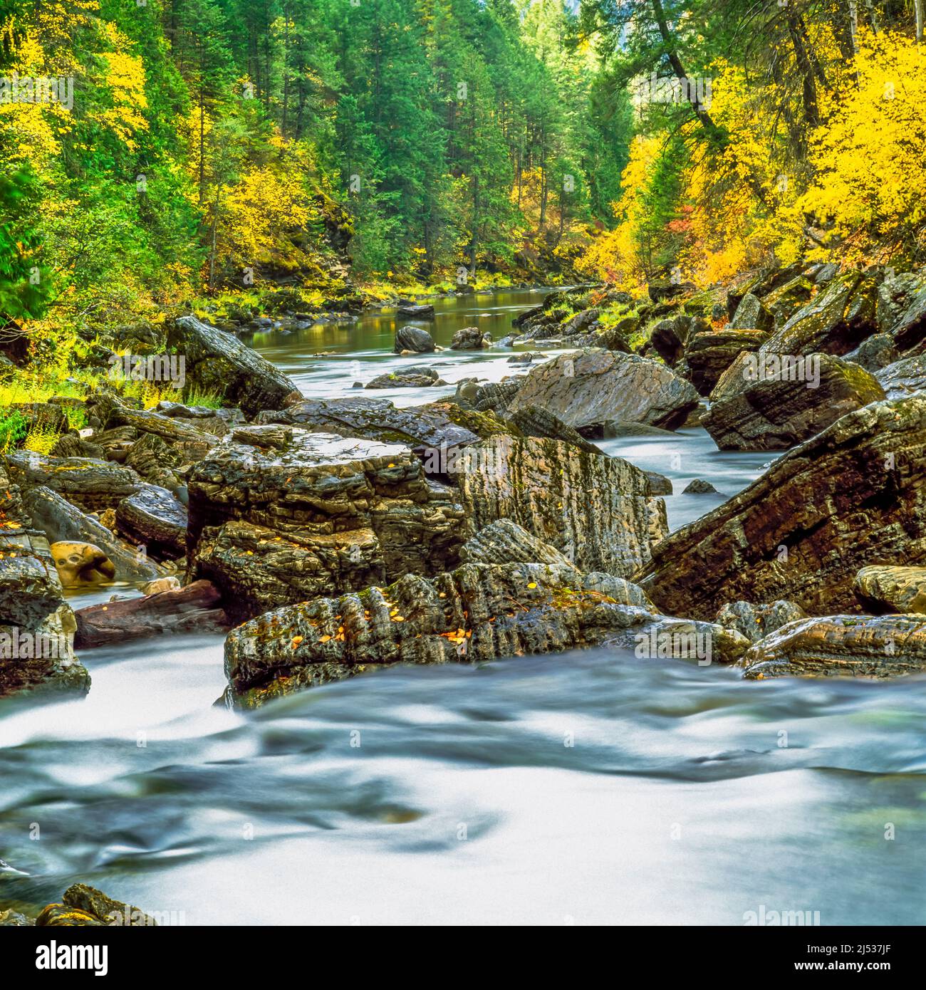 rapids and boulders on the yaak river in fall near troy, montana Stock ...