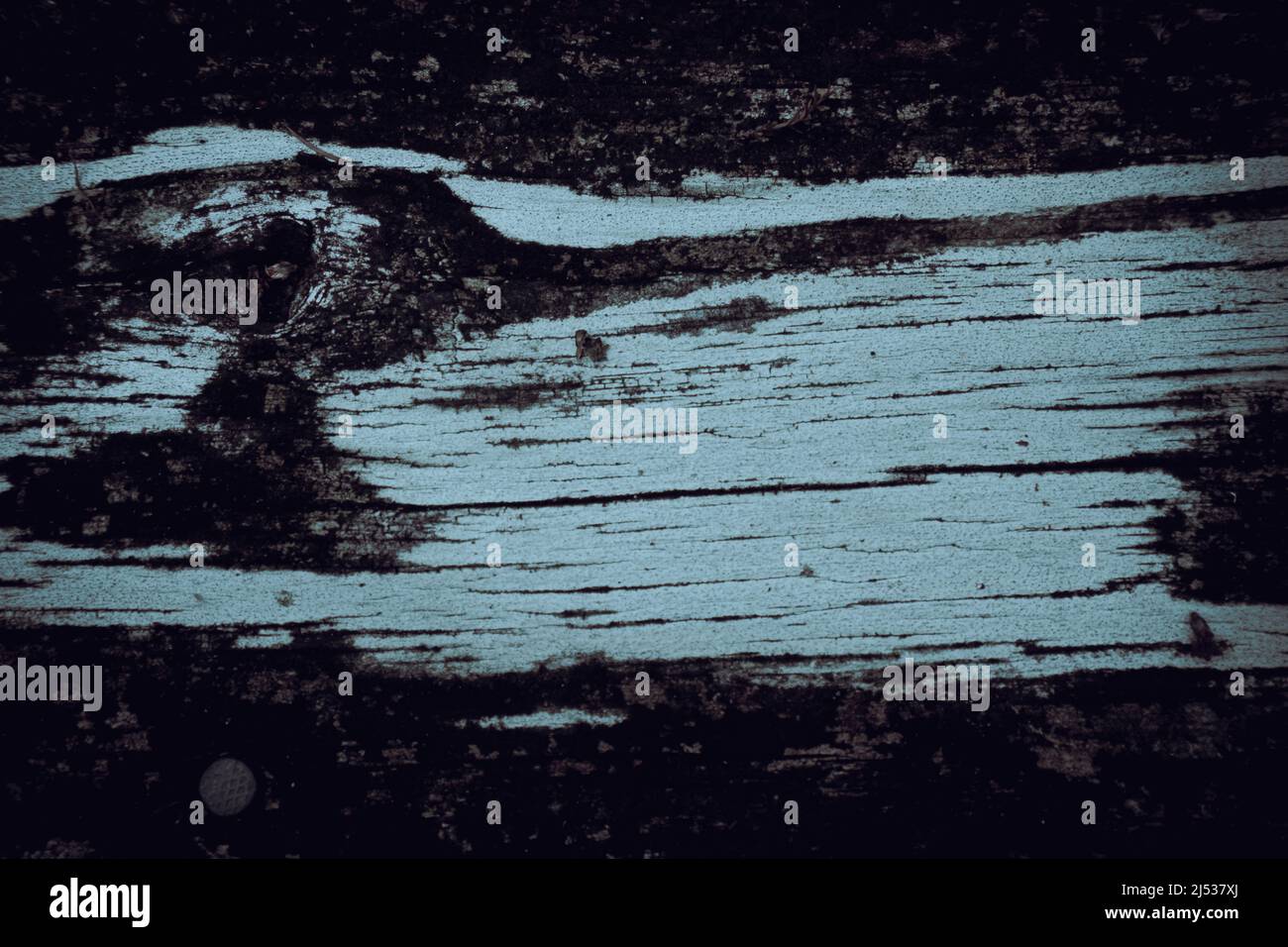 Dark cracked tree wood texture background for horror Halloween theme ...