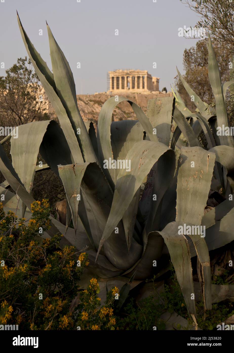 Views of the ancient Acropolis archaeological site in Athens, Greece,Europe Stock Photo - Alamy