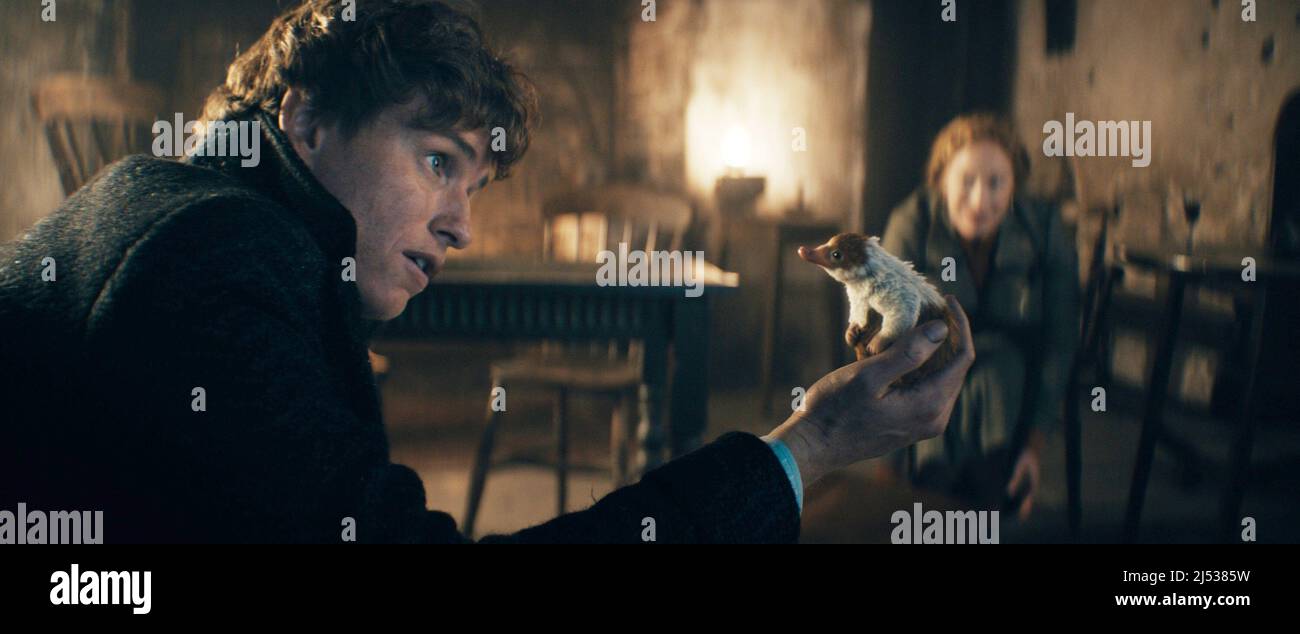 FANTASTIC BEASTS: THE SECRETS OF DUMBLEDORE, from left: Eddie Redmayne ...