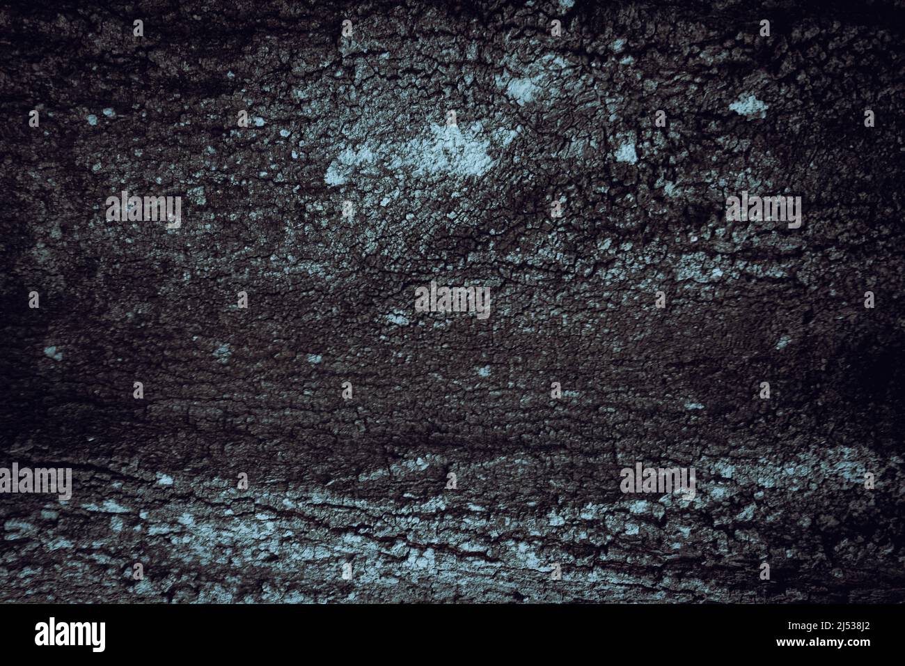 Dark cracked tree wood texture background for horror Halloween theme ...