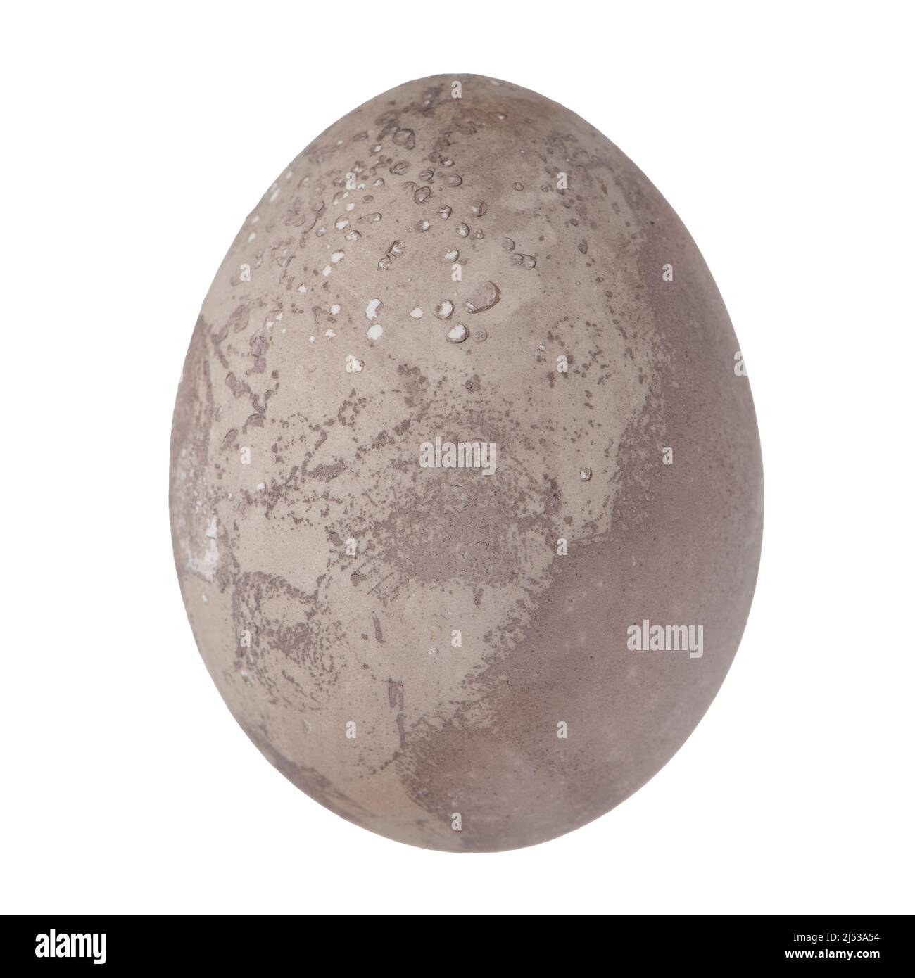 Grey painted egg isolated on white background Stock Photo - Alamy