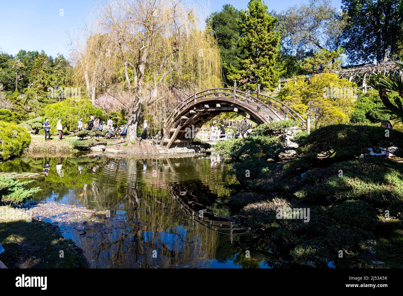 Japanese garden huntington library hi-res stock photography and images ...