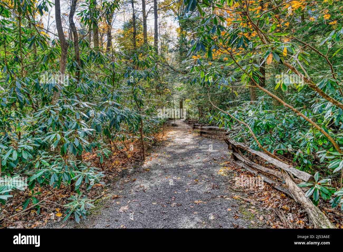 Lower Bear Run Trail at Frank Lloyd Wright’s Falling Water in Mill Run ...