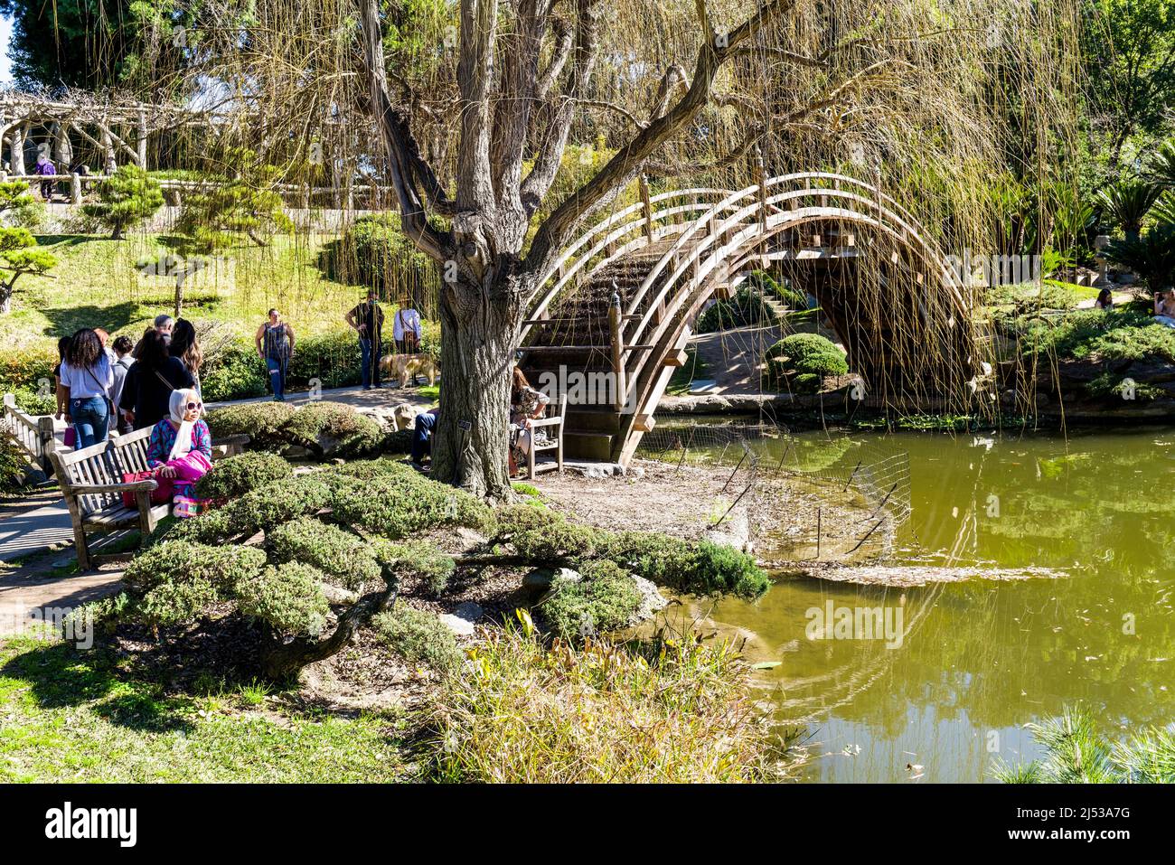 Huntington Library Botanic Gardens Stock Photo - Alamy