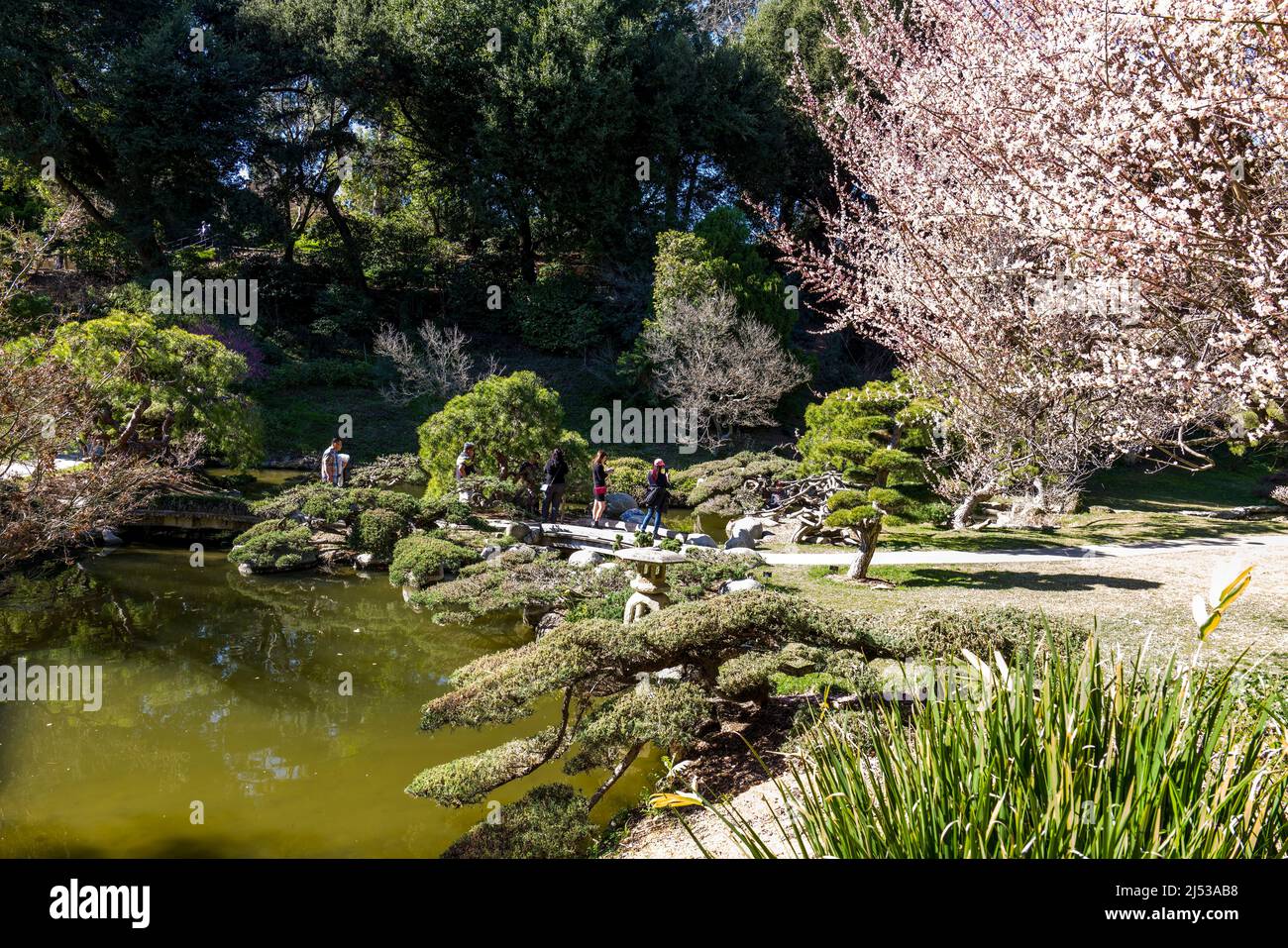 Huntington Library Botanic Gardens Stock Photo - Alamy