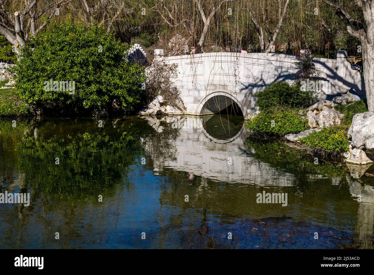 Huntington Library Botanic Gardens Stock Photo - Alamy