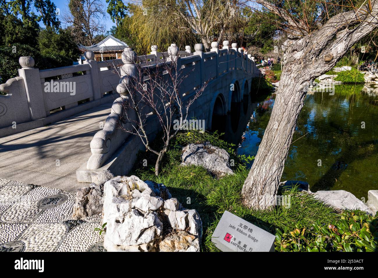 Huntington library botanic gardens hi-res stock photography and images ...