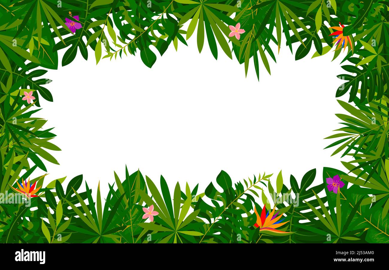 Tropical botanical foliage flower banner flat style. Exotic palm leaf ...