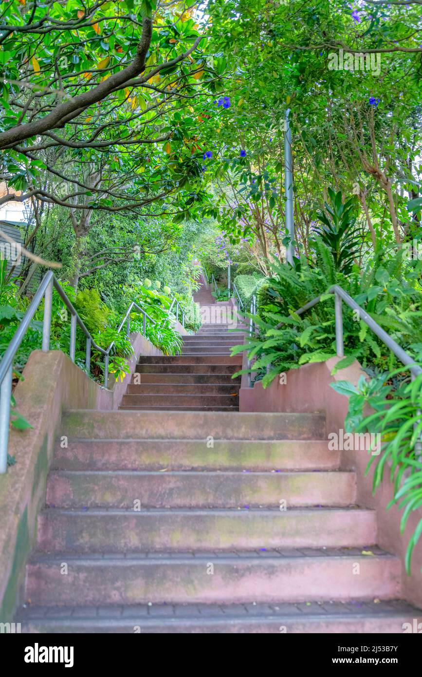 Outdoor staircase in san francisco hi-res stock photography and images ...