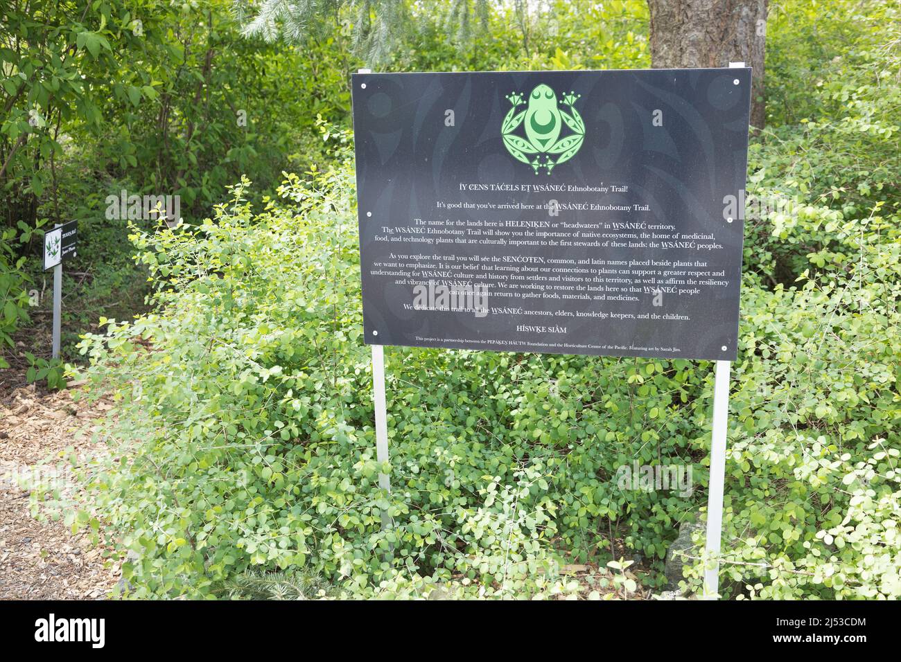 Ethnobotany hi-res stock photography and images - Alamy