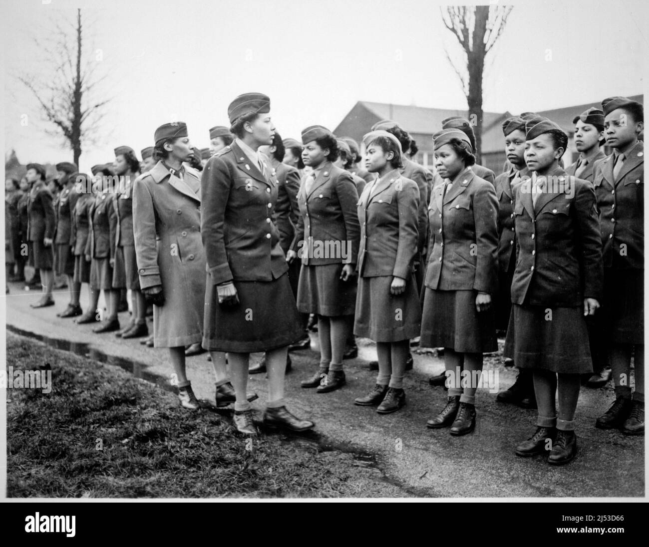 Inspection of US 6888th Central Postal Directory Battalion Stock Photo ...