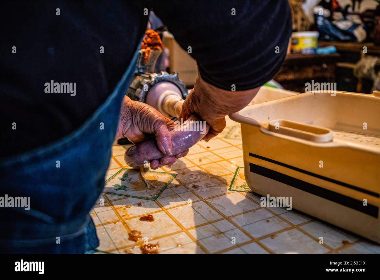 Pig intestine hi-res stock photography and images - Alamy