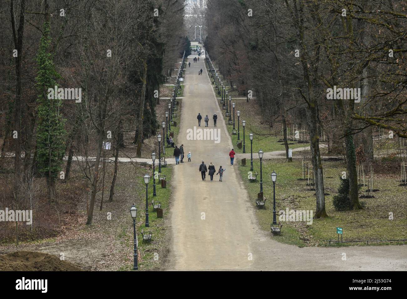 Panoramic view of park with old trees hi-res stock photography and ...