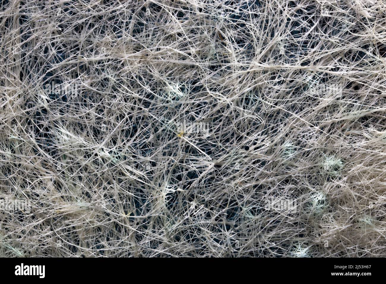Abstract background of white plastic threads on a dark background Stock ...