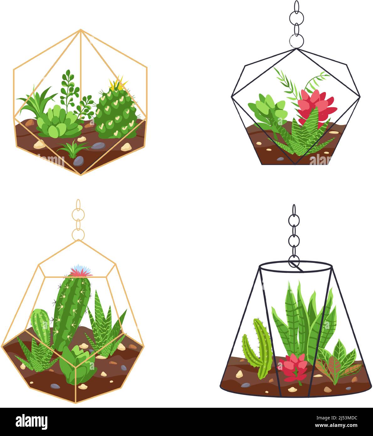 Florarium plants, green plant with leaf in pot Stock Vector Image & Art ...