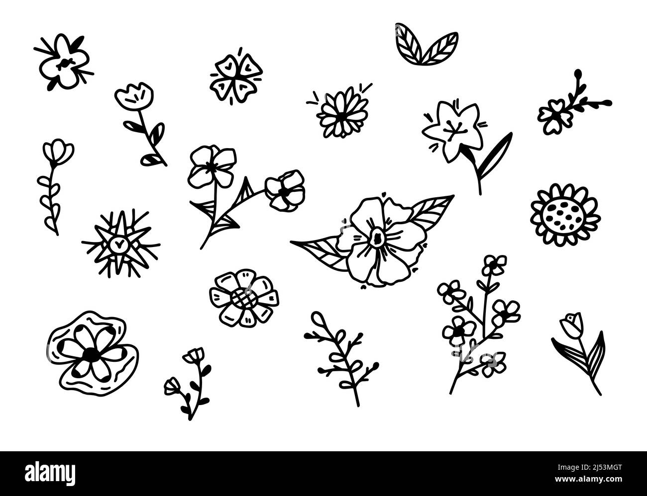 Set of black floral doodles. Flowers variety, hand drawn with liner ...