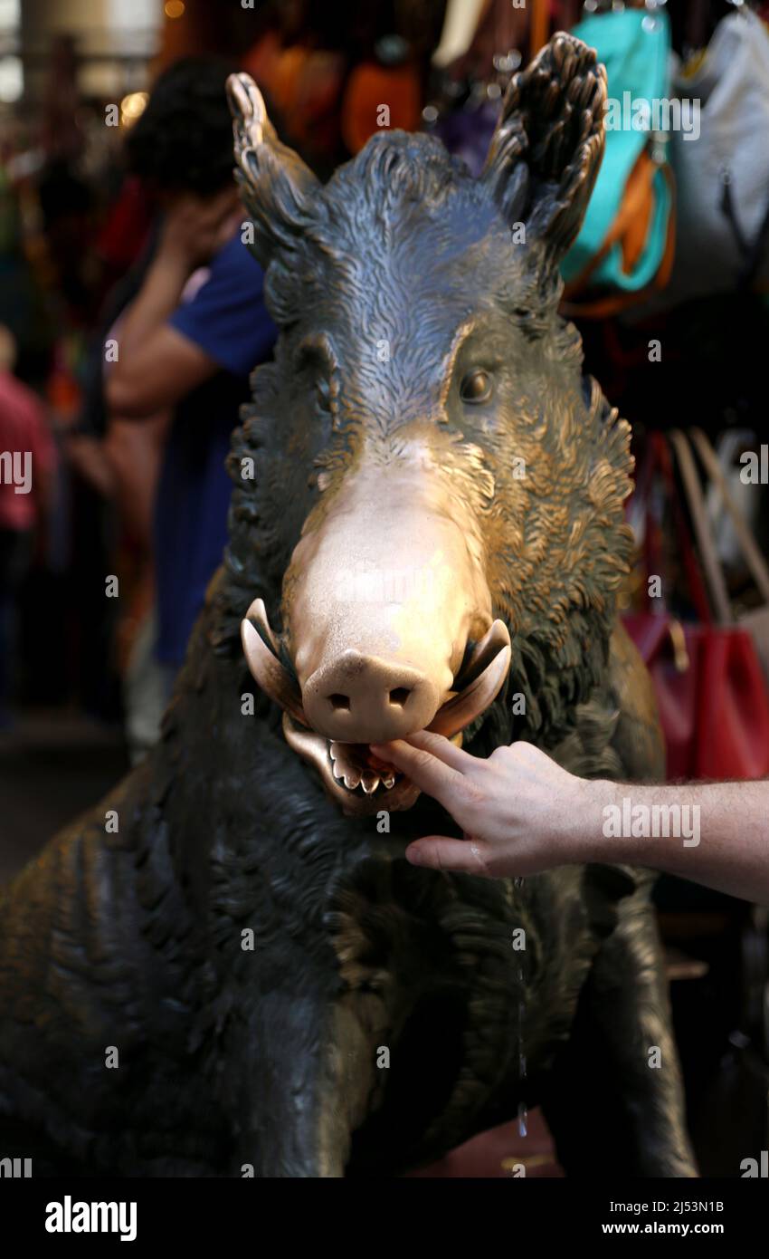 Golden muzzle of the wild boar and the legend says that rubbing the ...