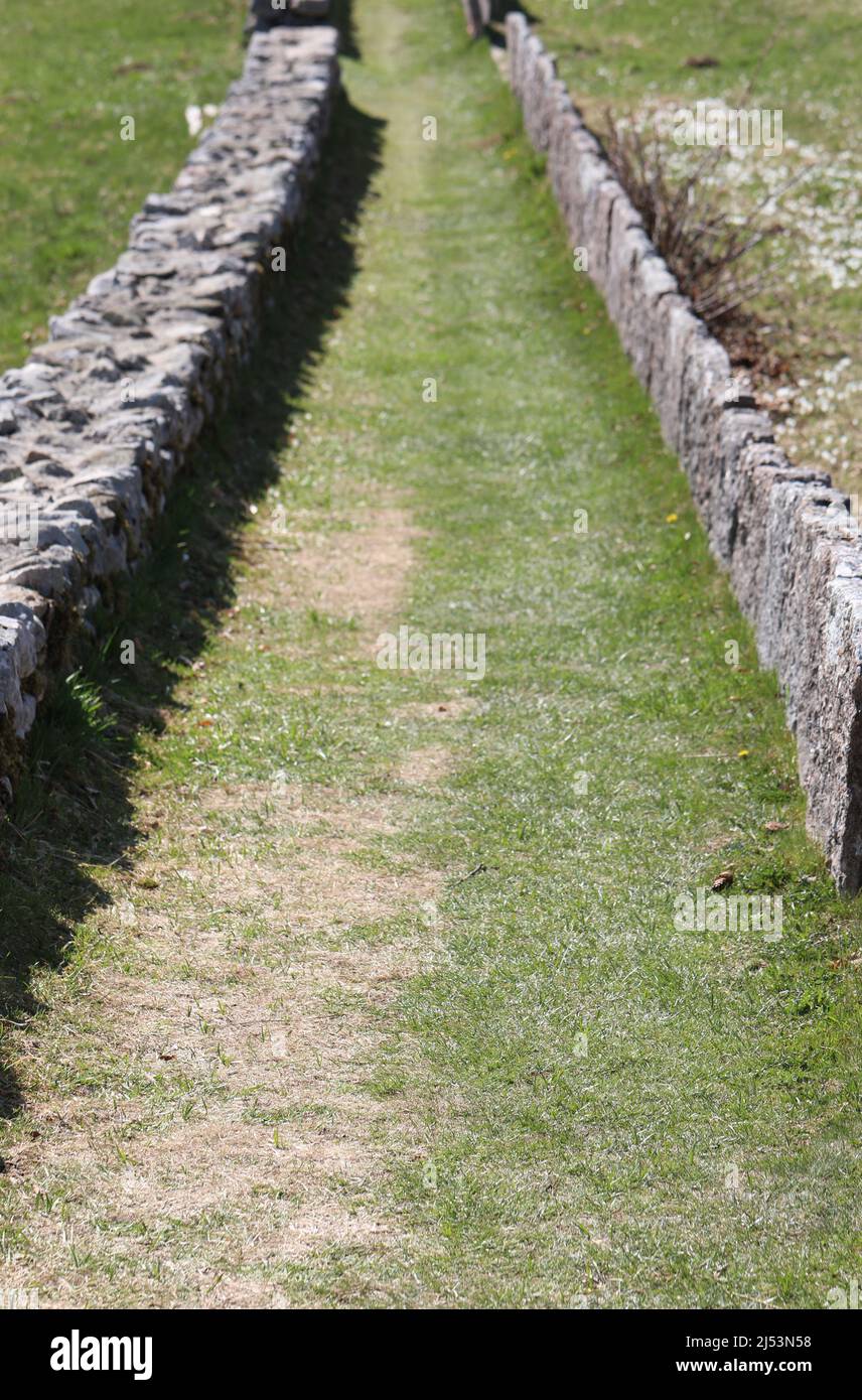 country road otherwise called a mule track bordered on the sides by a ...