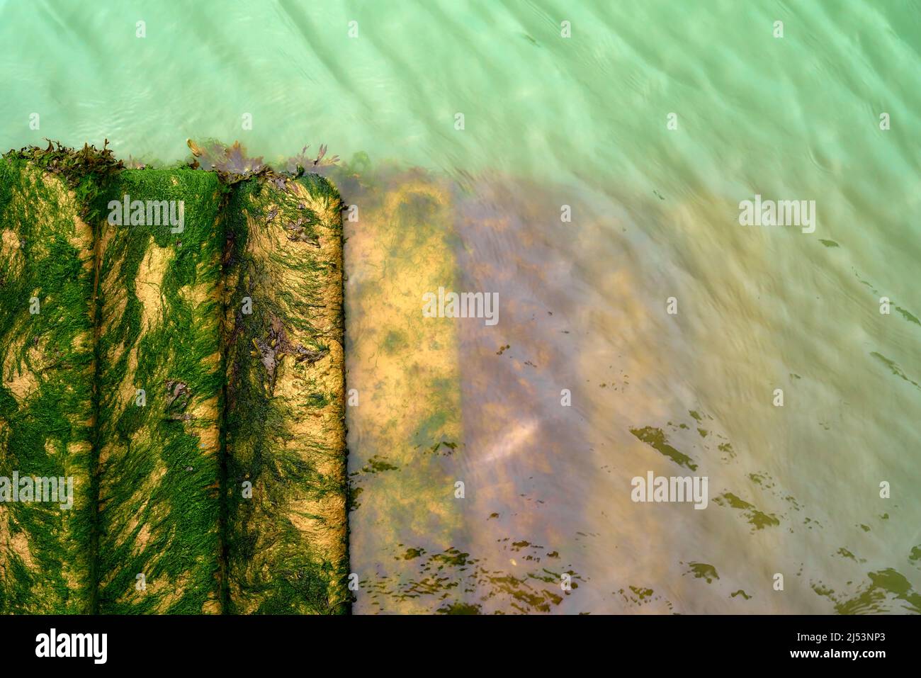 Seaweed covered steps down into light green water Stock Photo - Alamy