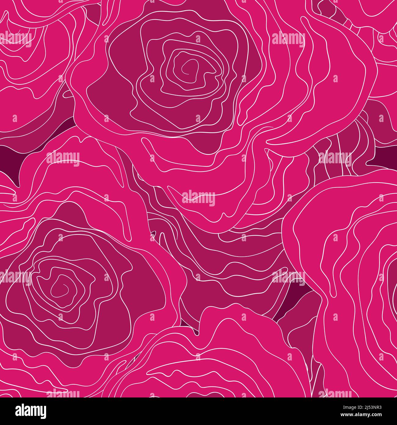 Spring colorful vector illustration with pink roses. Cartoon style ...