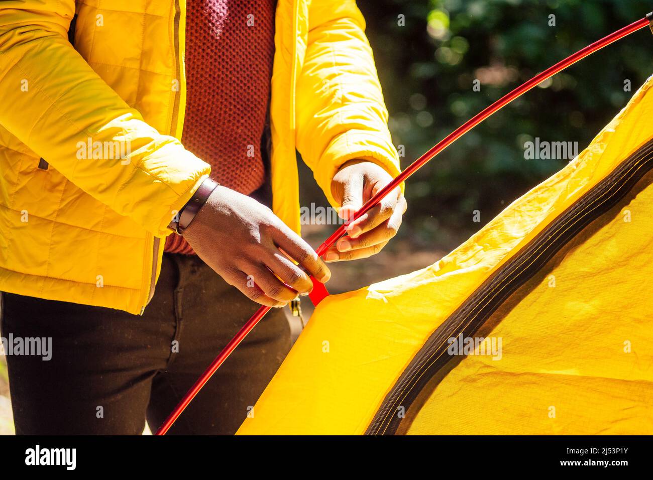 African American In Yellow Jacker Putting On A Tent In Forest Stock 5297