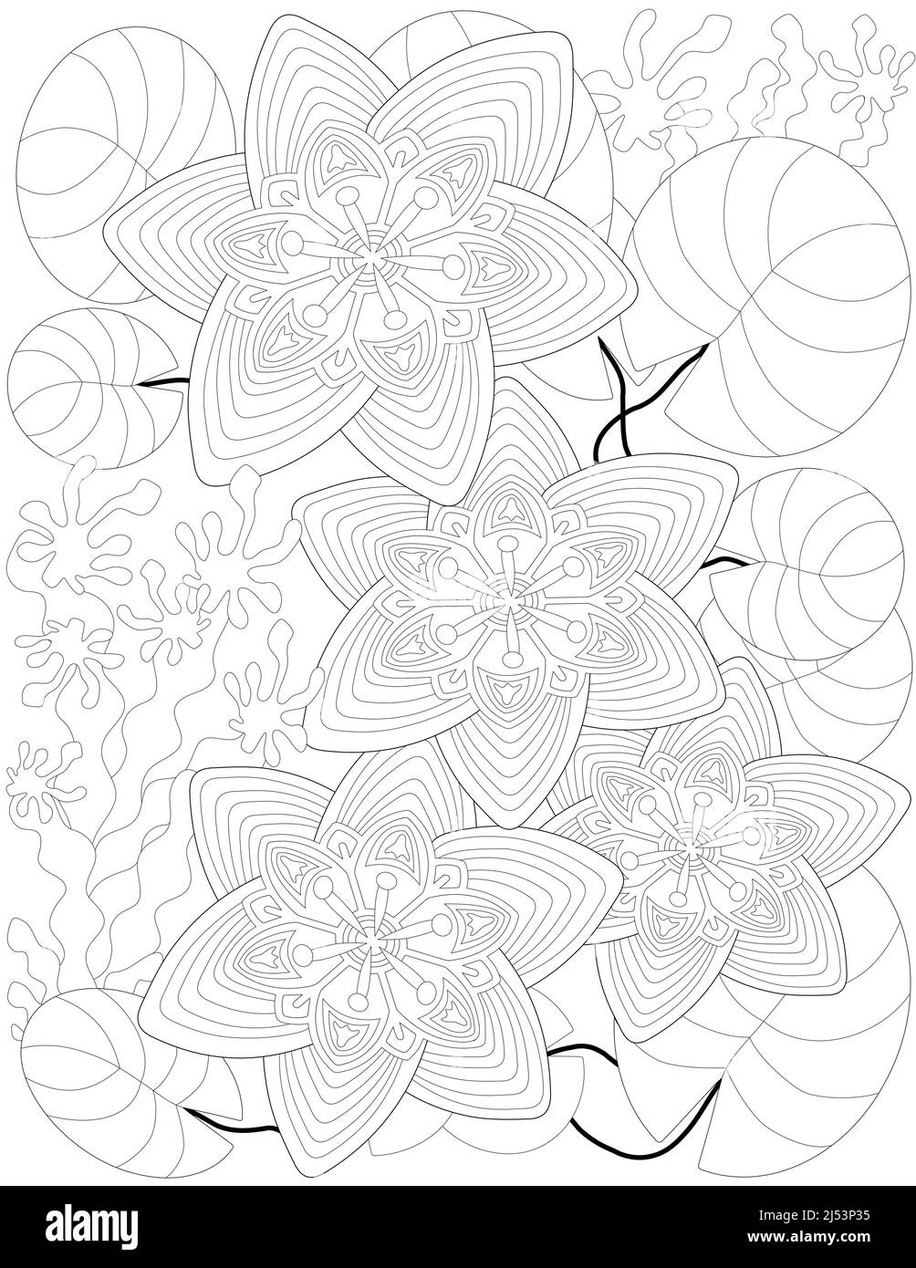 Vector line drawing stylized four lotus flowers floating leaves lake ...