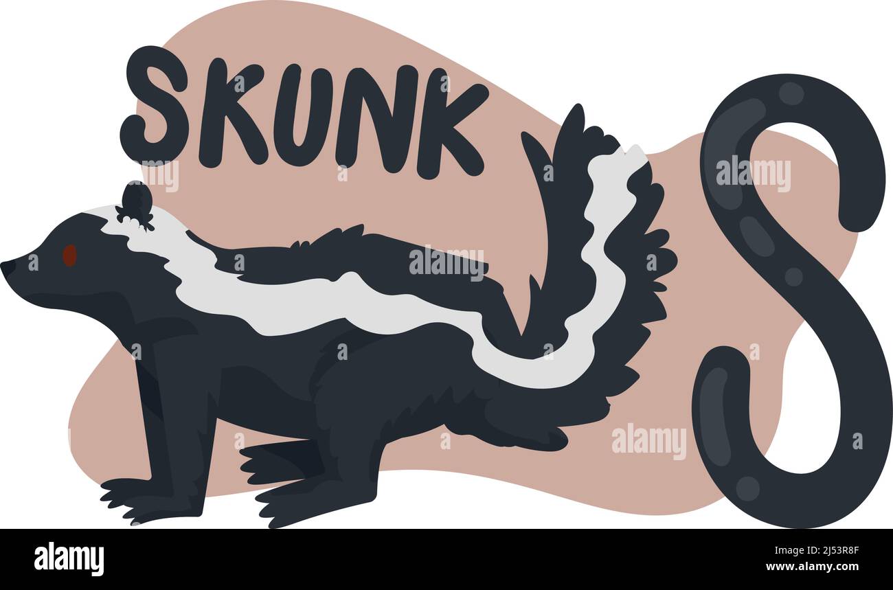 skunk and s letter Stock Vector Image & Art - Alamy