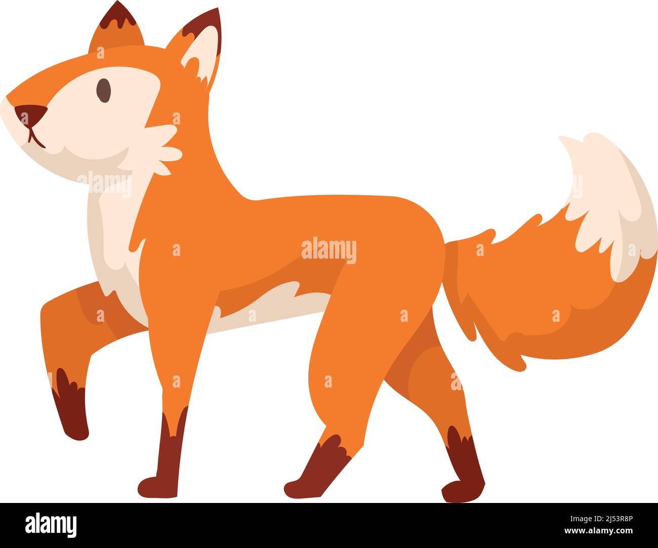 cute fox animal kid Stock Vector Image & Art - Alamy