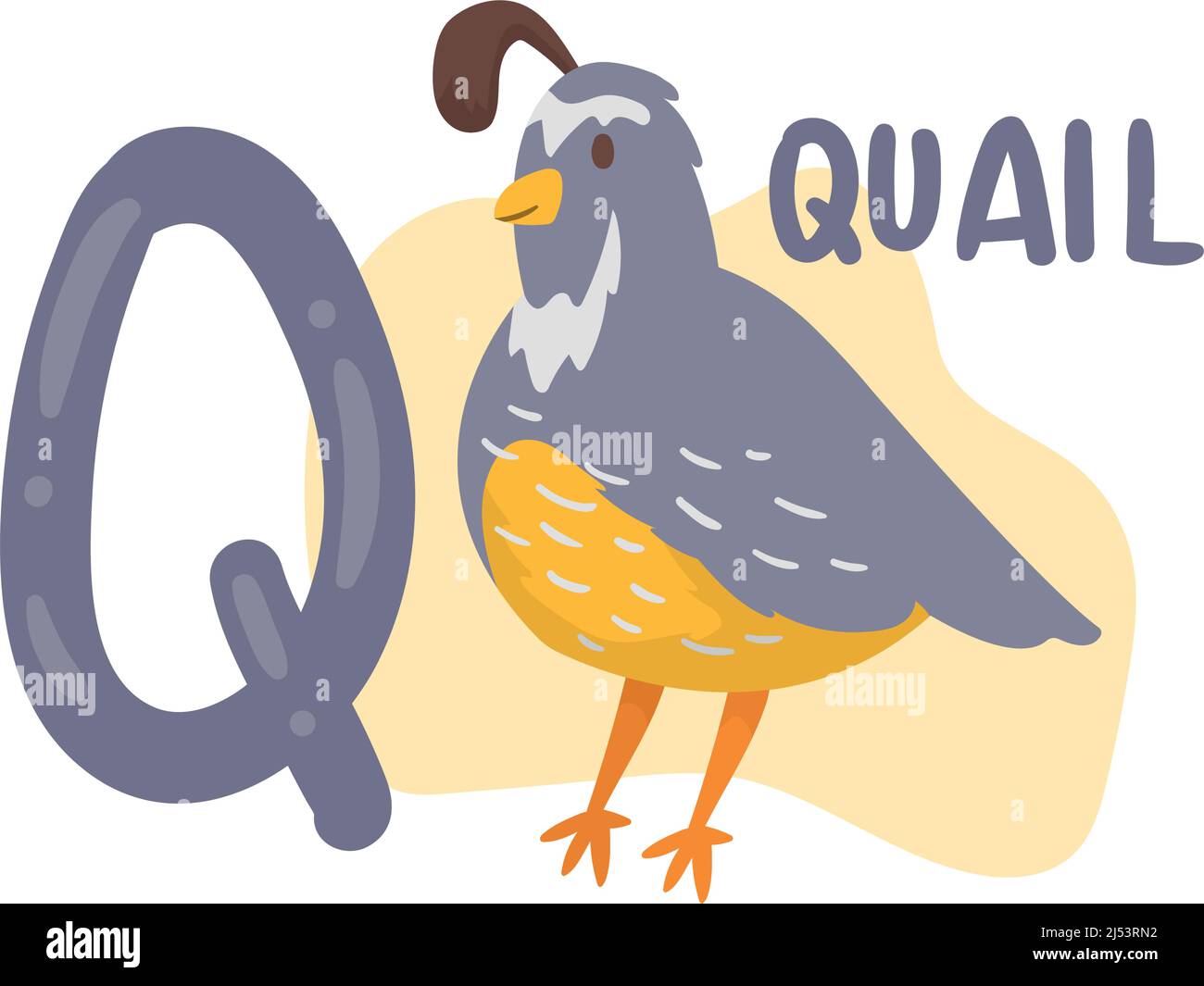 Q for quail hi-res stock photography and images - Alamy