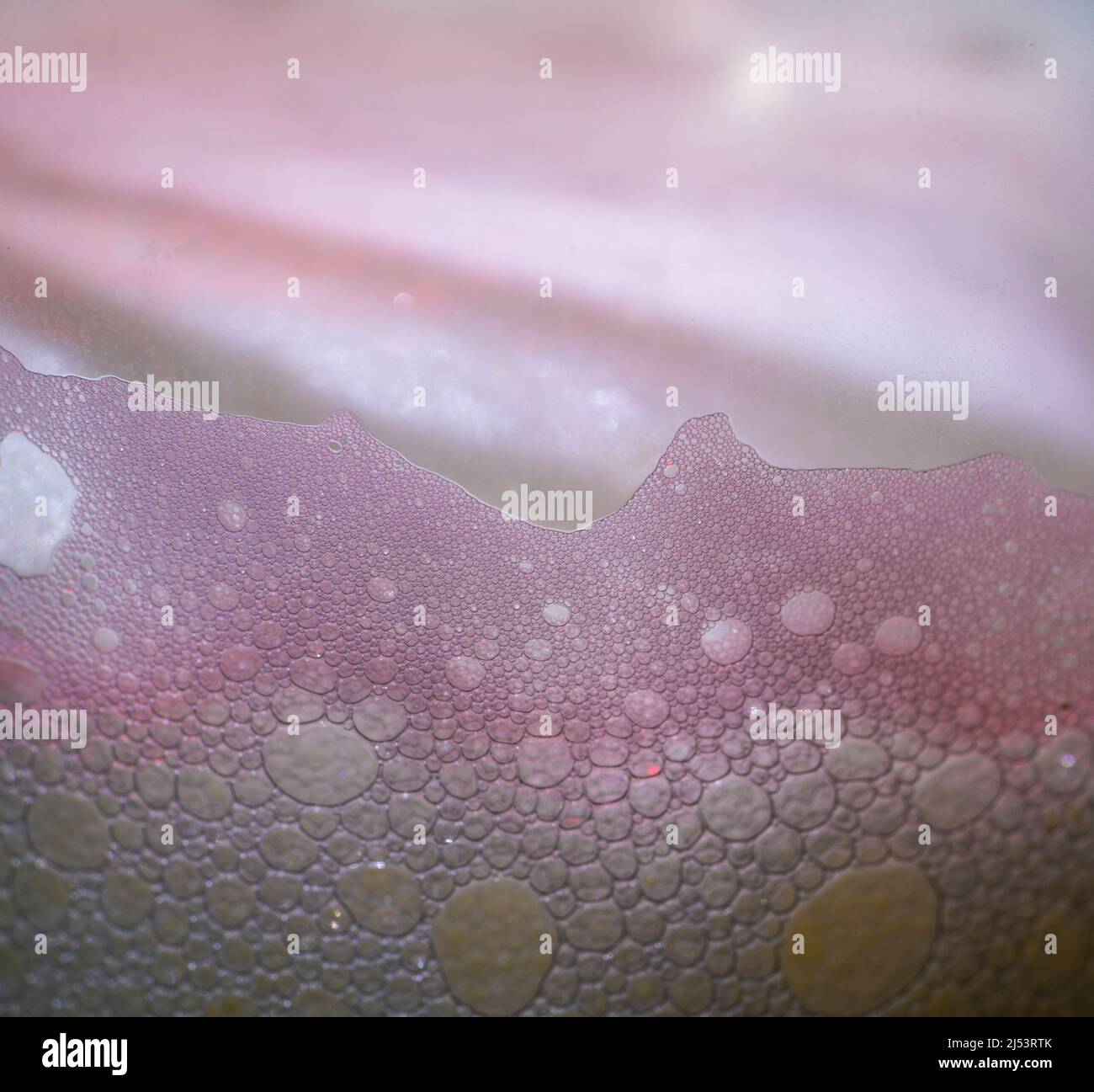 Foam from beer in glass with bubbles photographed in studio Stock Photo ...