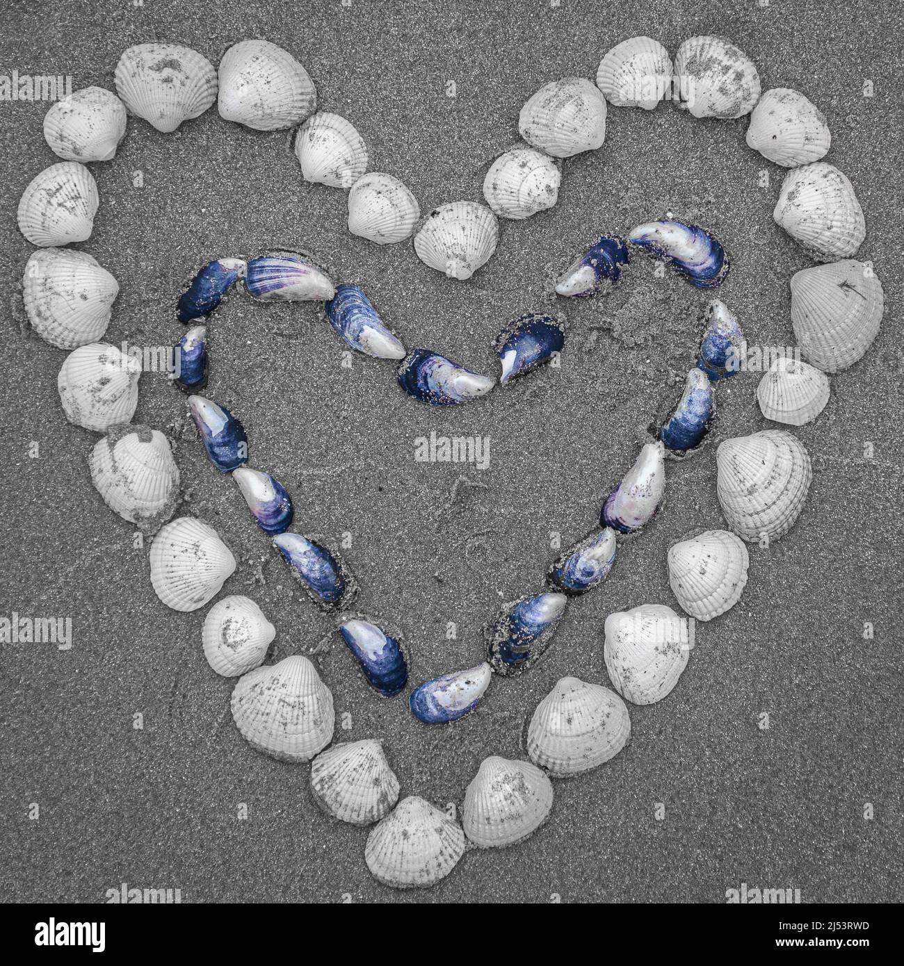 Heart made shells on beach hi-res stock photography and images - Alamy