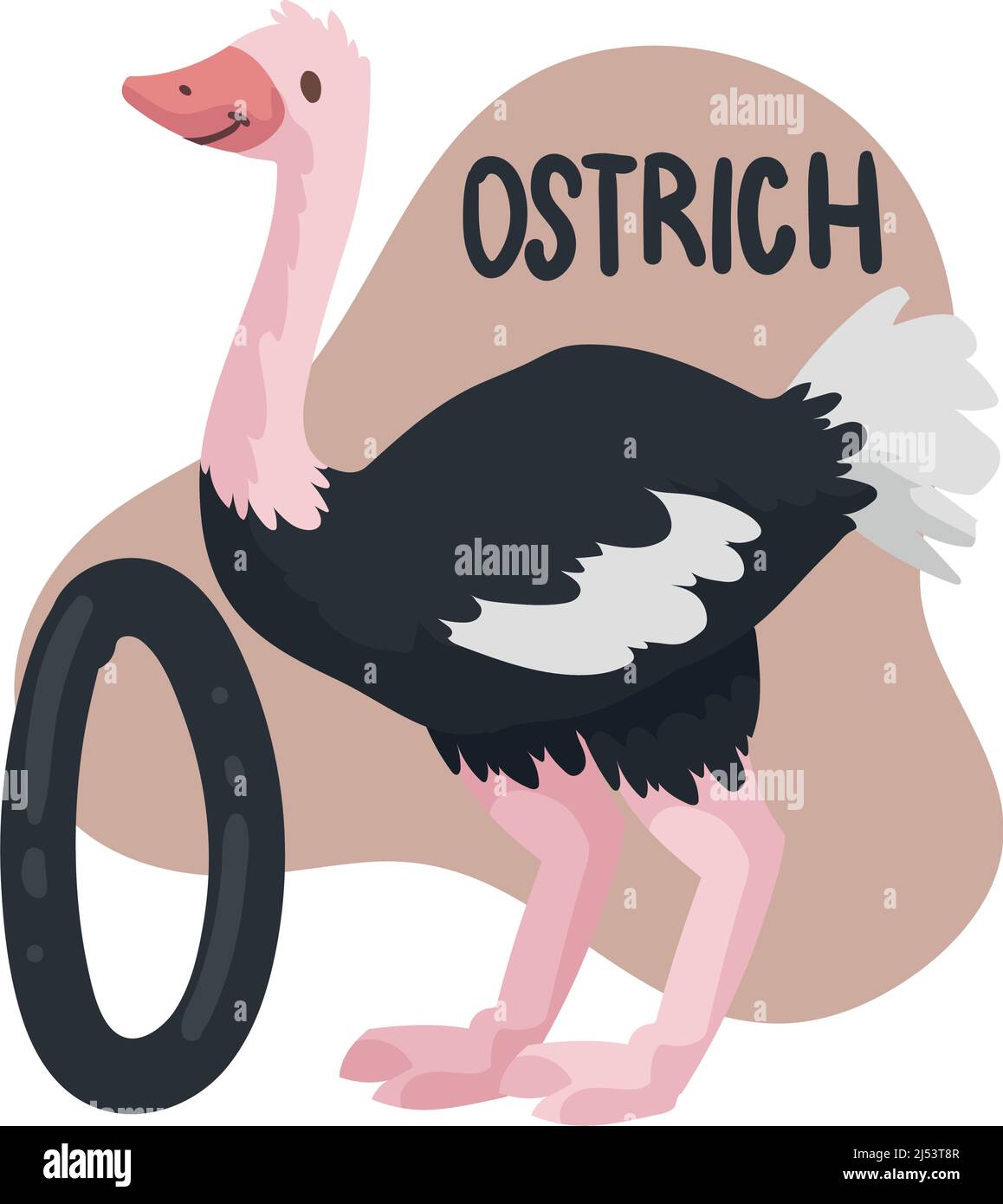 ostrich and o letter Stock Vector Image & Art - Alamy
