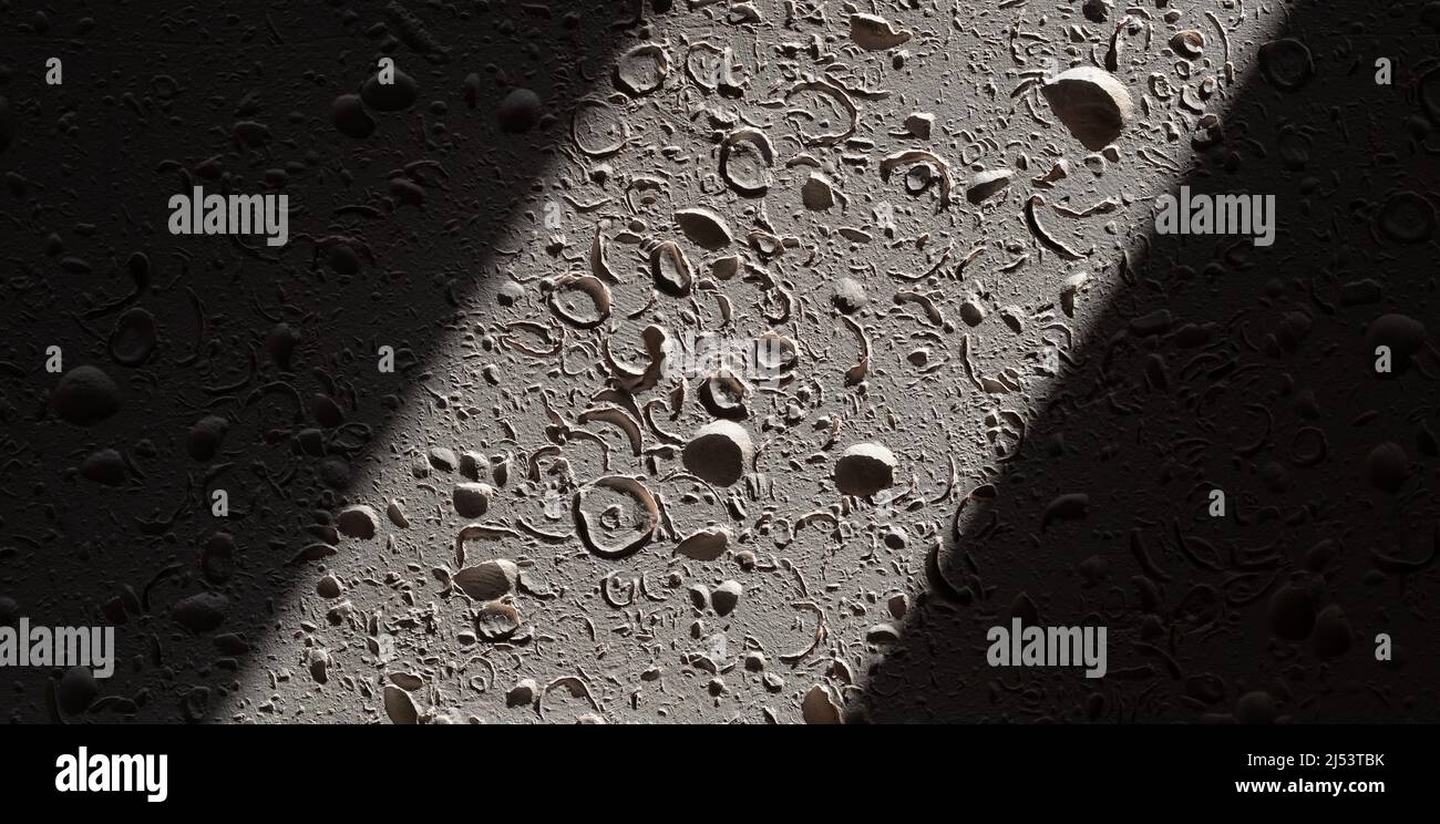 Light limestone slab shell hi-res stock photography and images - Alamy