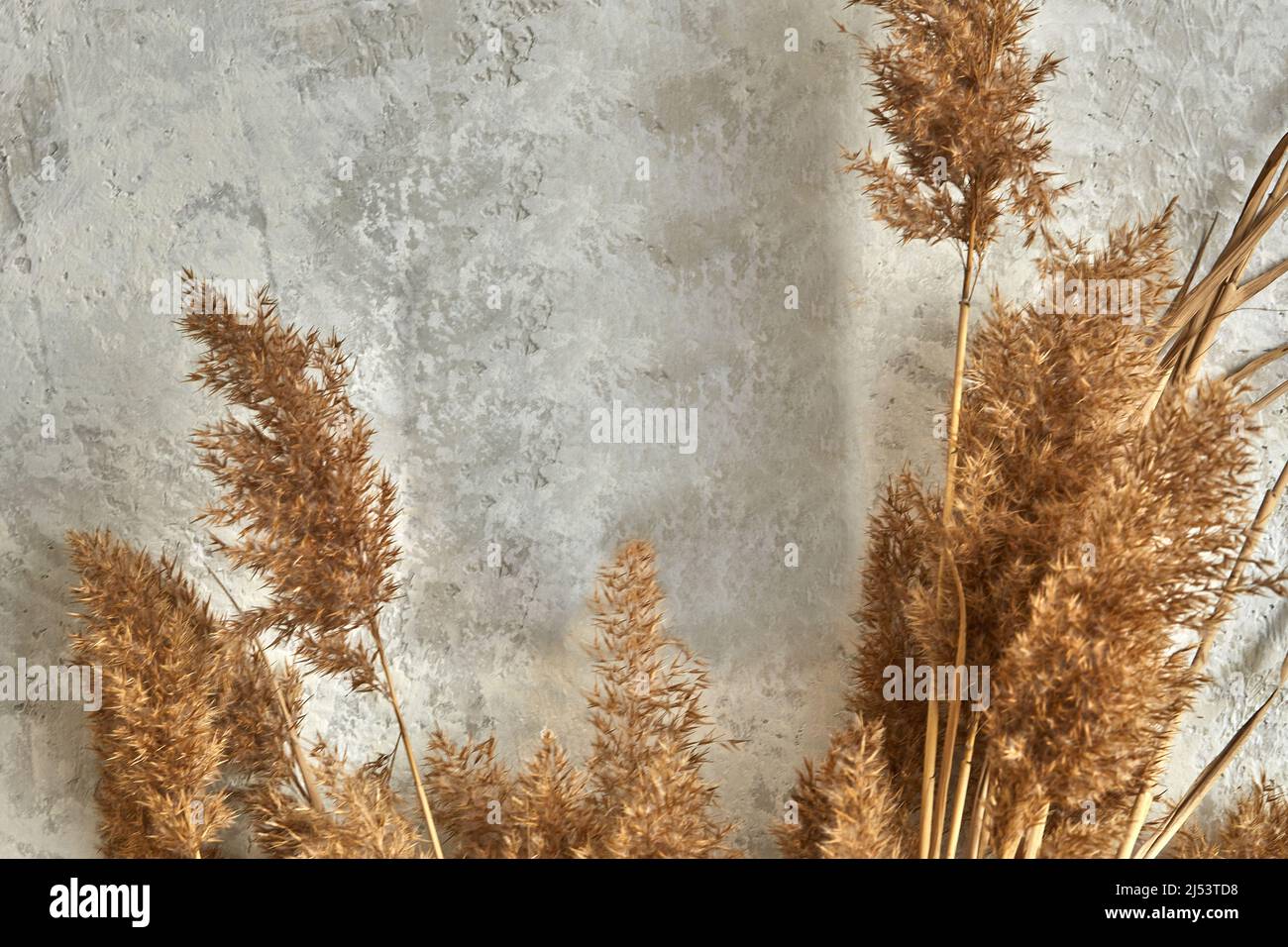 Boho interior design with people hi-res stock photography and images ...