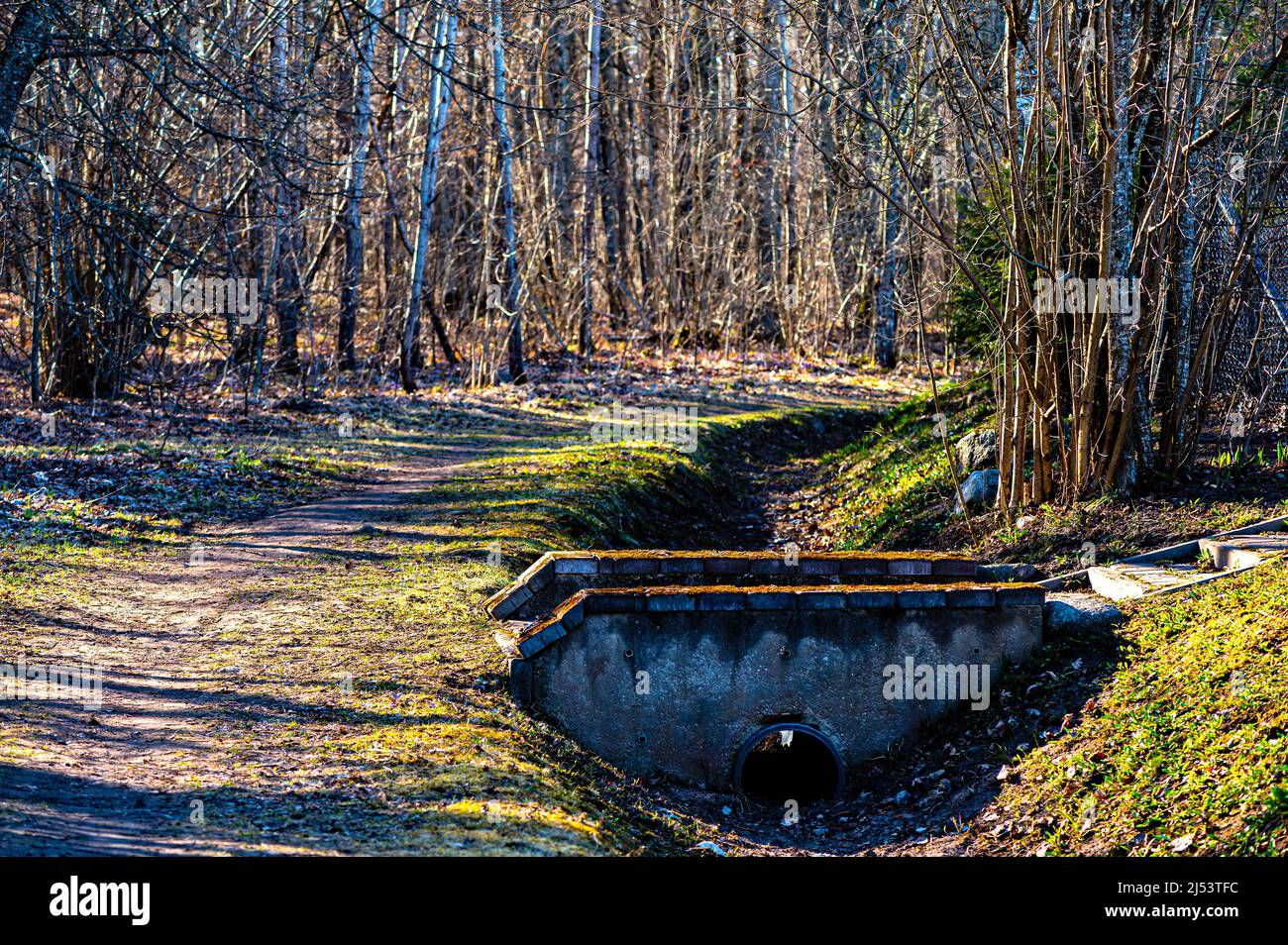 forest trail along a water ditch with a stone bridge in early spring ...