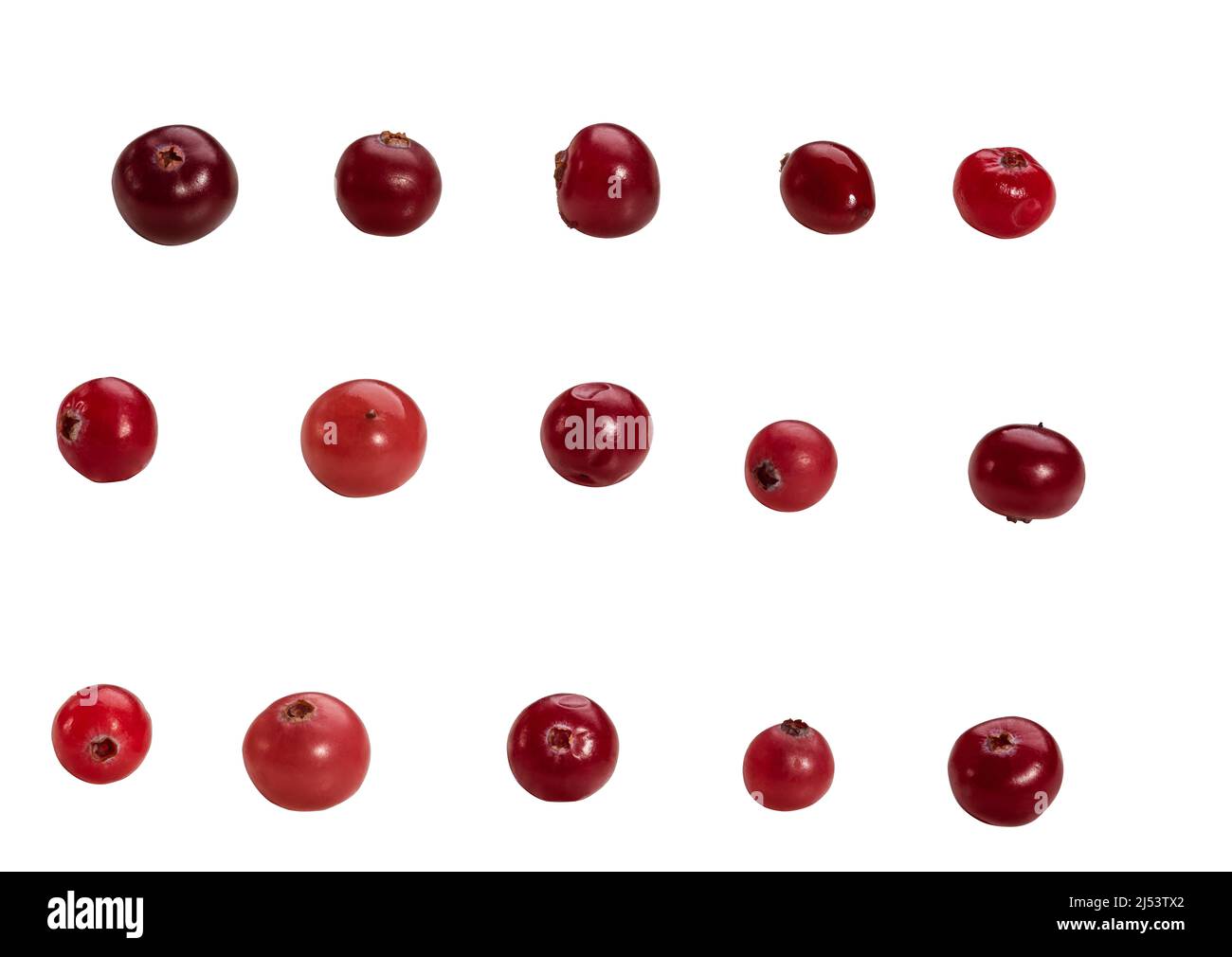 Ripe red cranberries arranged isolated on white background Stock Photo ...