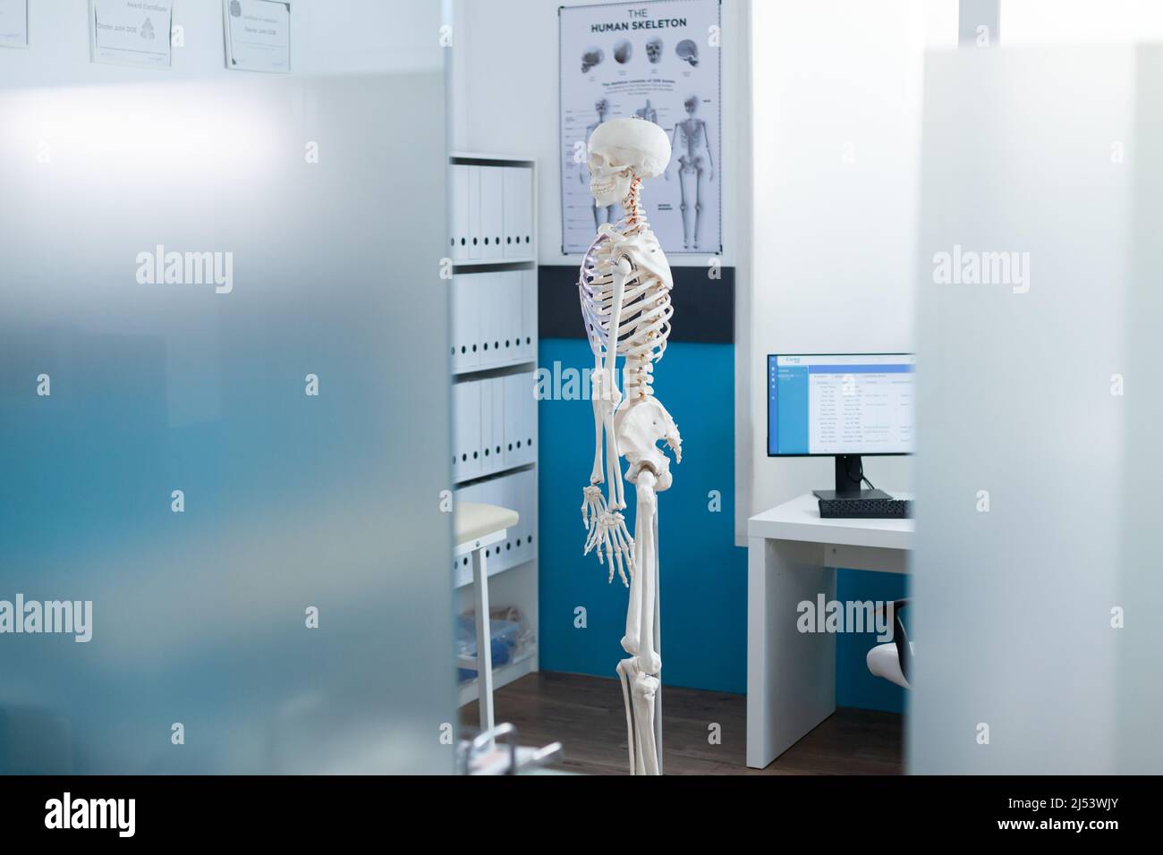 Side view of human skeleton model standing in empty hospital office ...