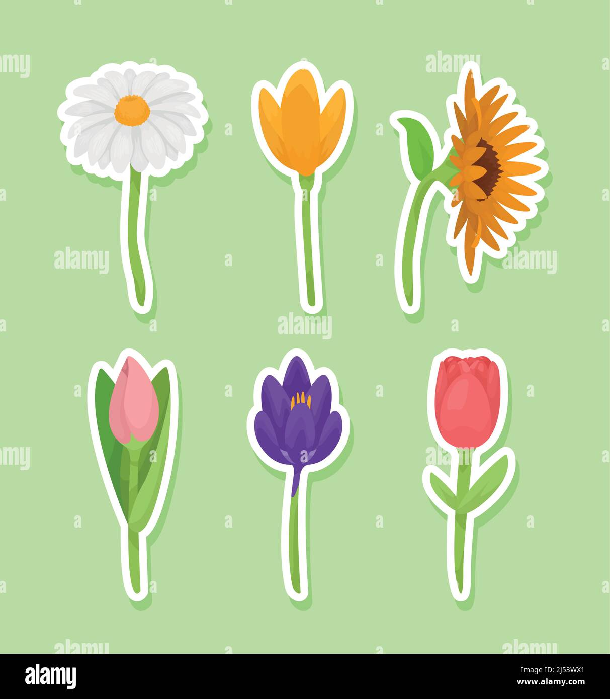 Each flowers with six petals Stock Vector Images - Alamy