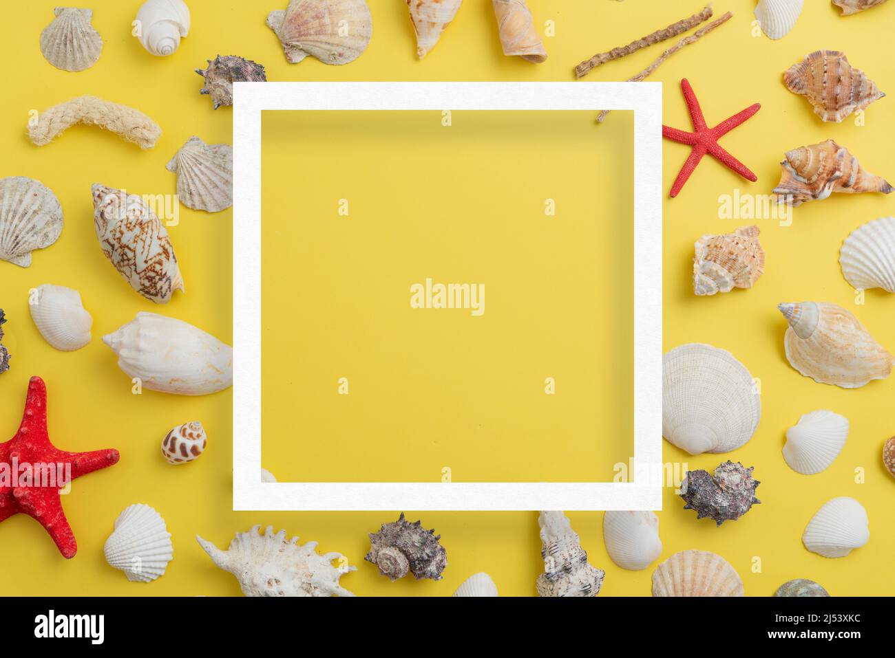 White square frame on yellow background surrounded with shells. Summer ...
