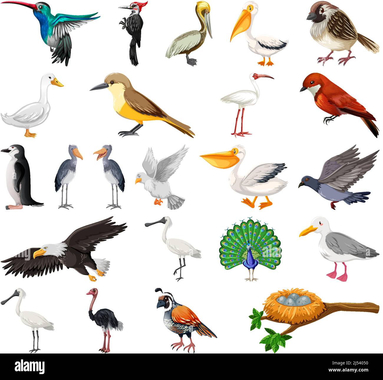 Different kinds of birds collection illustration Stock Vector Image ...